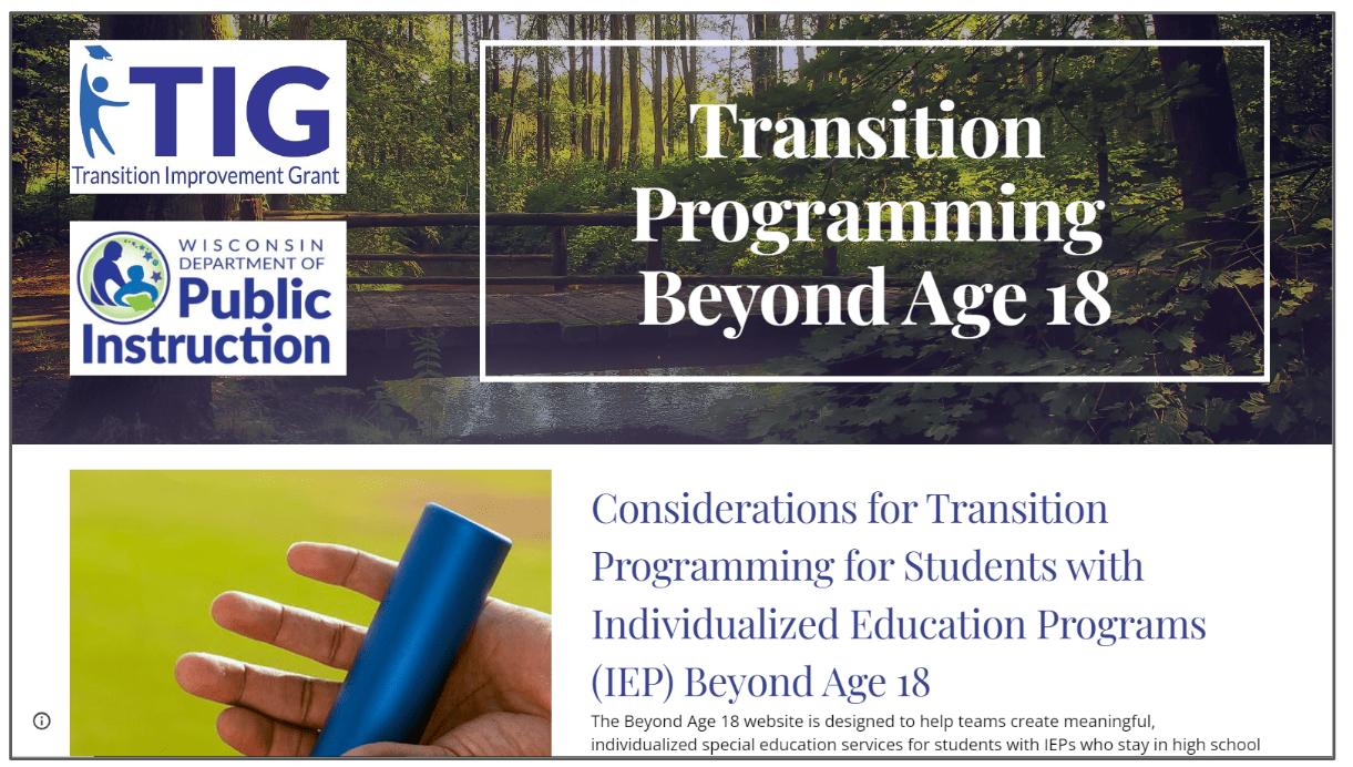 Transition Programming Beyond Age 18